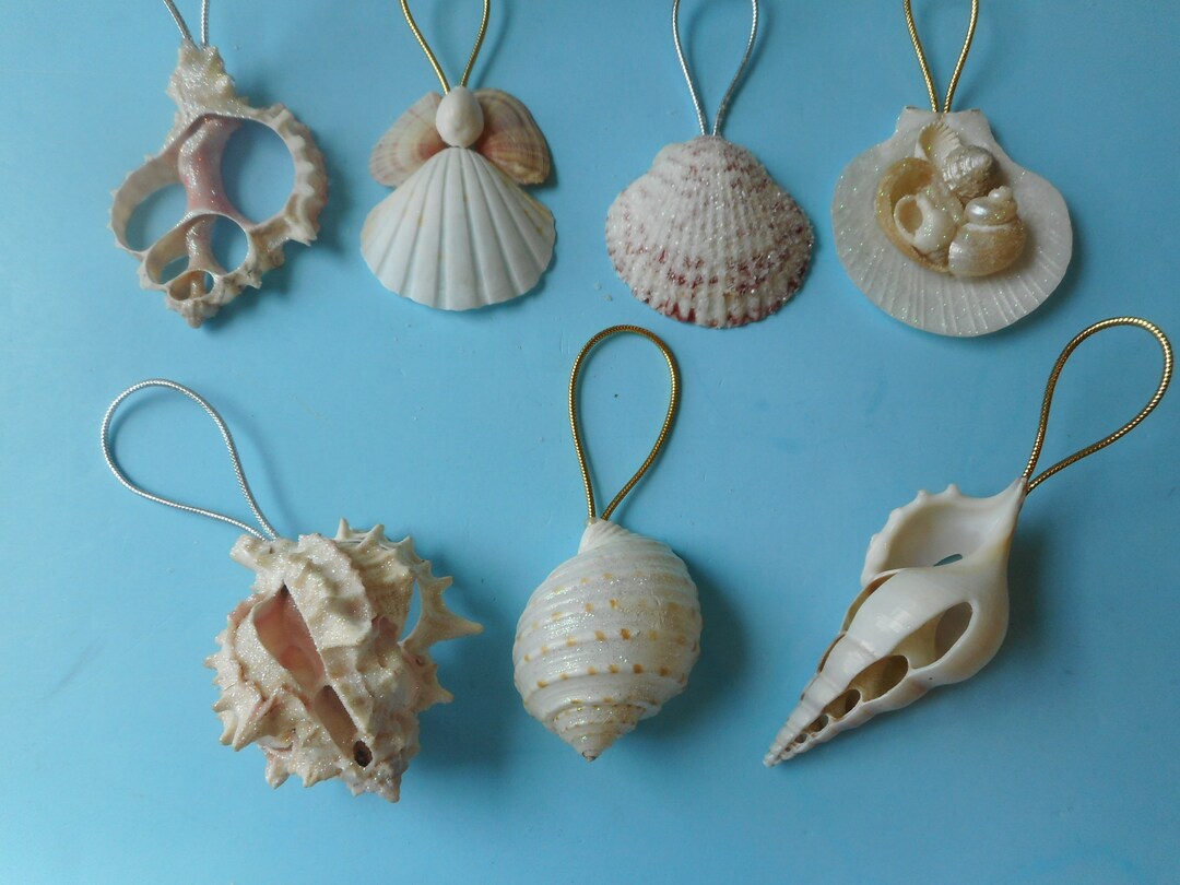 Seashell Beach Ornaments Variety-(more CHOICES)- Coastal Christmas Home ...