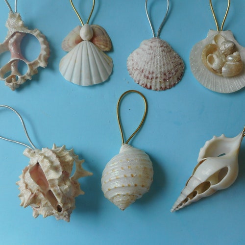 Seashell Beach Ornaments Varietymore CHOICES Coastal | Etsy