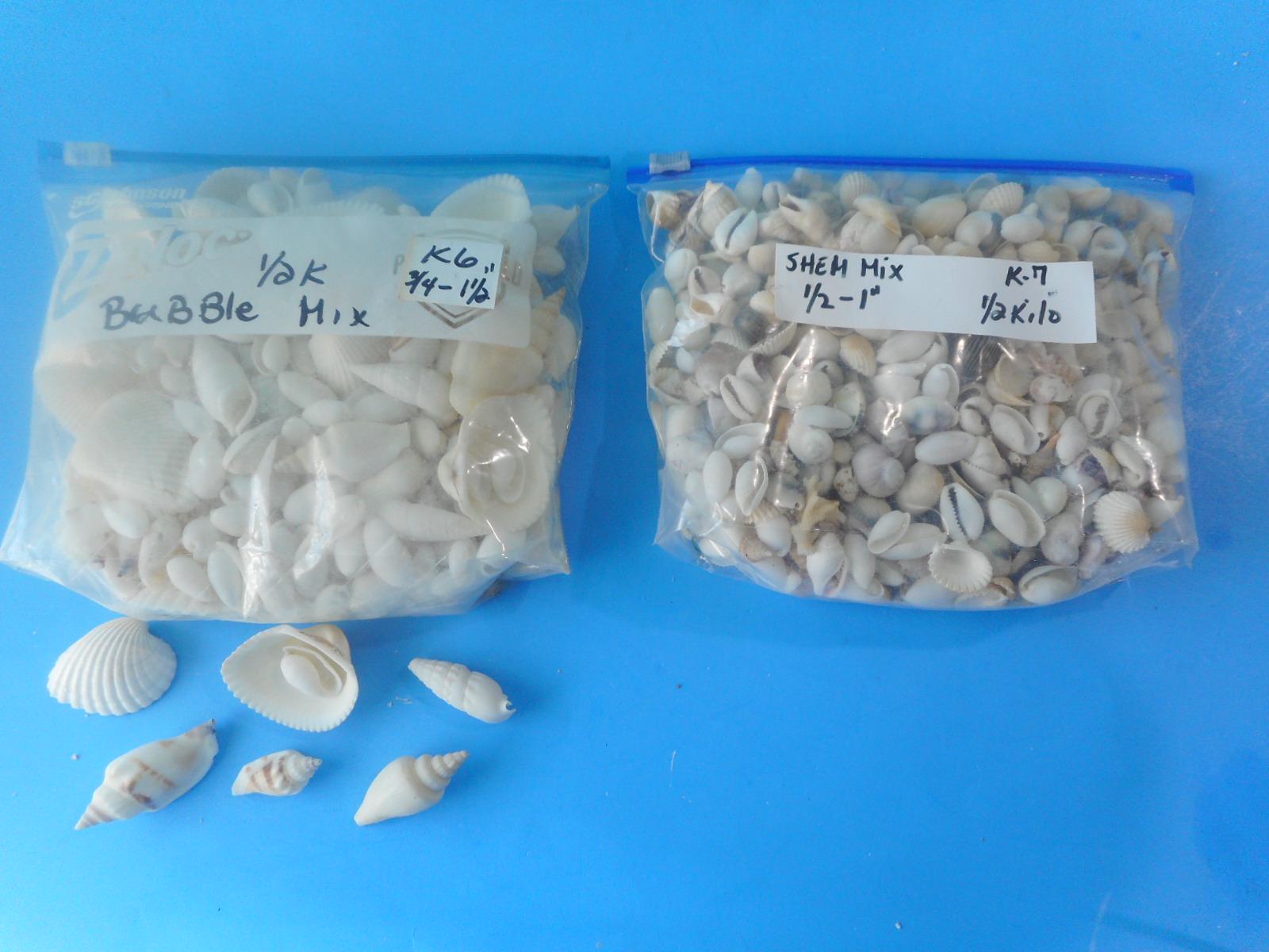 Bulk Craft Shells-1/2 Kilo-1kilo Craft Seashell Supply - Etsy