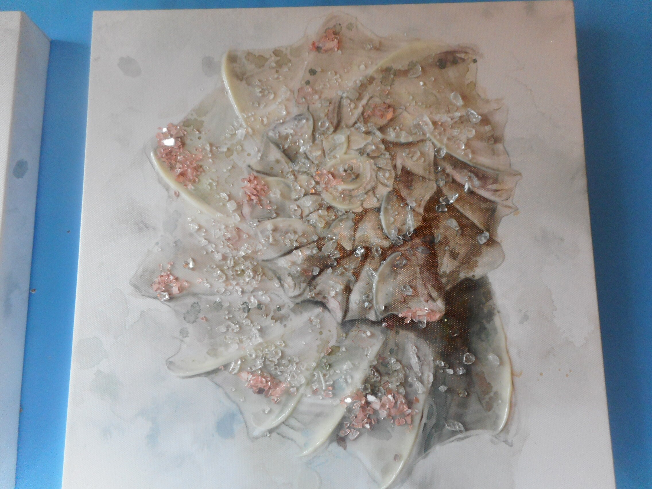 SeaShell Beach Canvas Wall Art Coastal Nautical Beach Home | Etsy