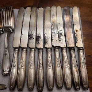 Rogers Bros 1847 Ambassador Pattern Silverplate Flatware 25 Pcs Monogrammed - Etsy
