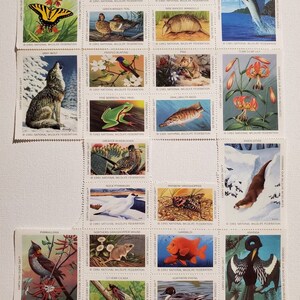 77 America's Conservation Stamps Endangered Species 1938- 1992 National ...
