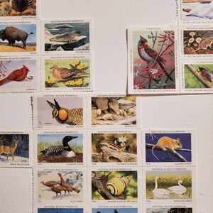 77 America's Conservation Stamps Endangered Species 1938- 1992 National ...