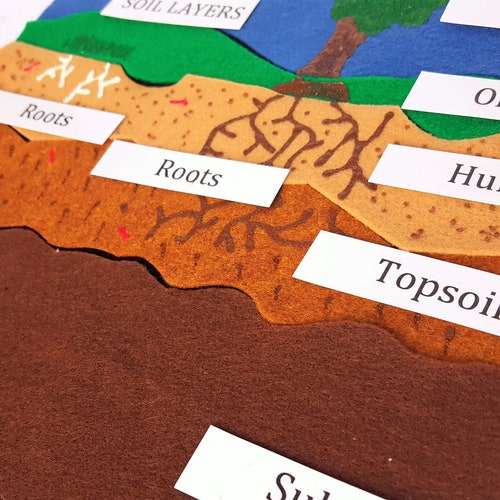 Landforms Felt Board Set With Laminated Labels. Daycare ECE | Etsy Israel
