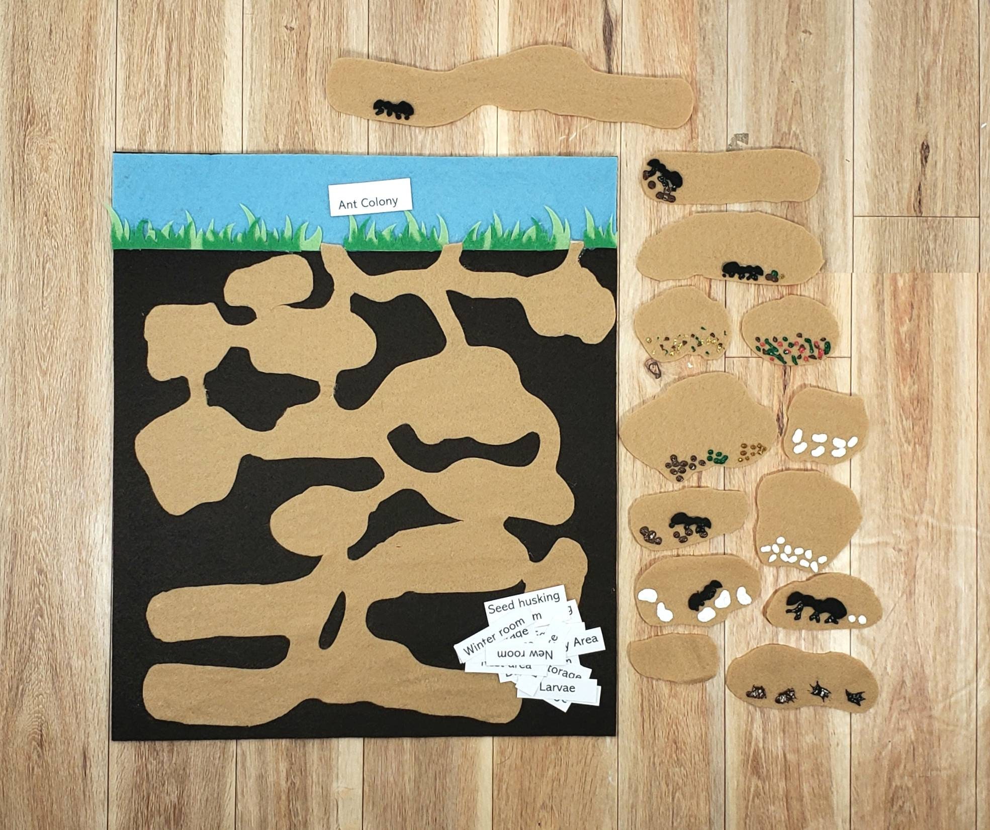 Ant Colony Felt Board Set Ant Habitat How Do Ants Live - Etsy Canada