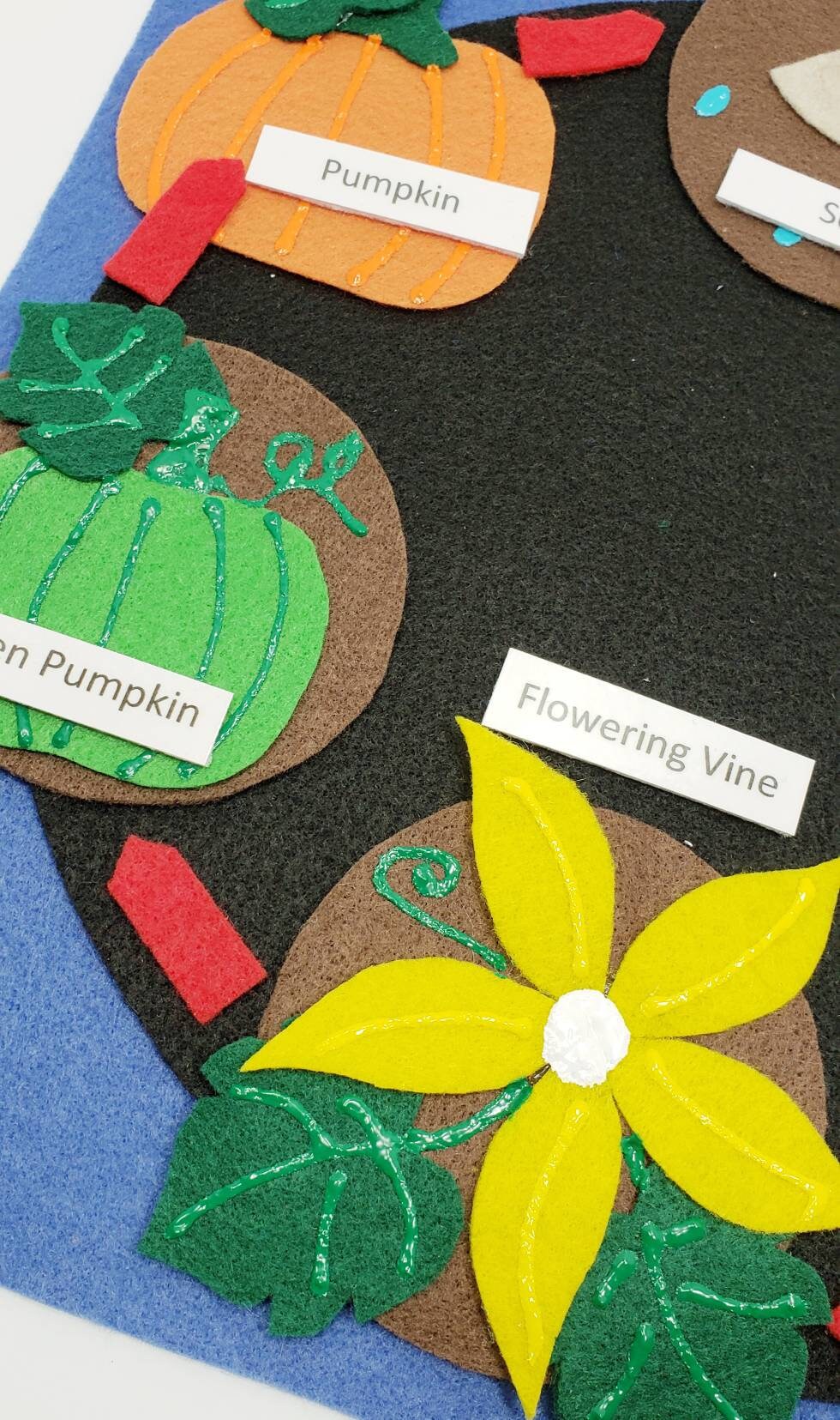 Pumpkin Life Cycle Felt Model Set: Homeschool Science - Etsy