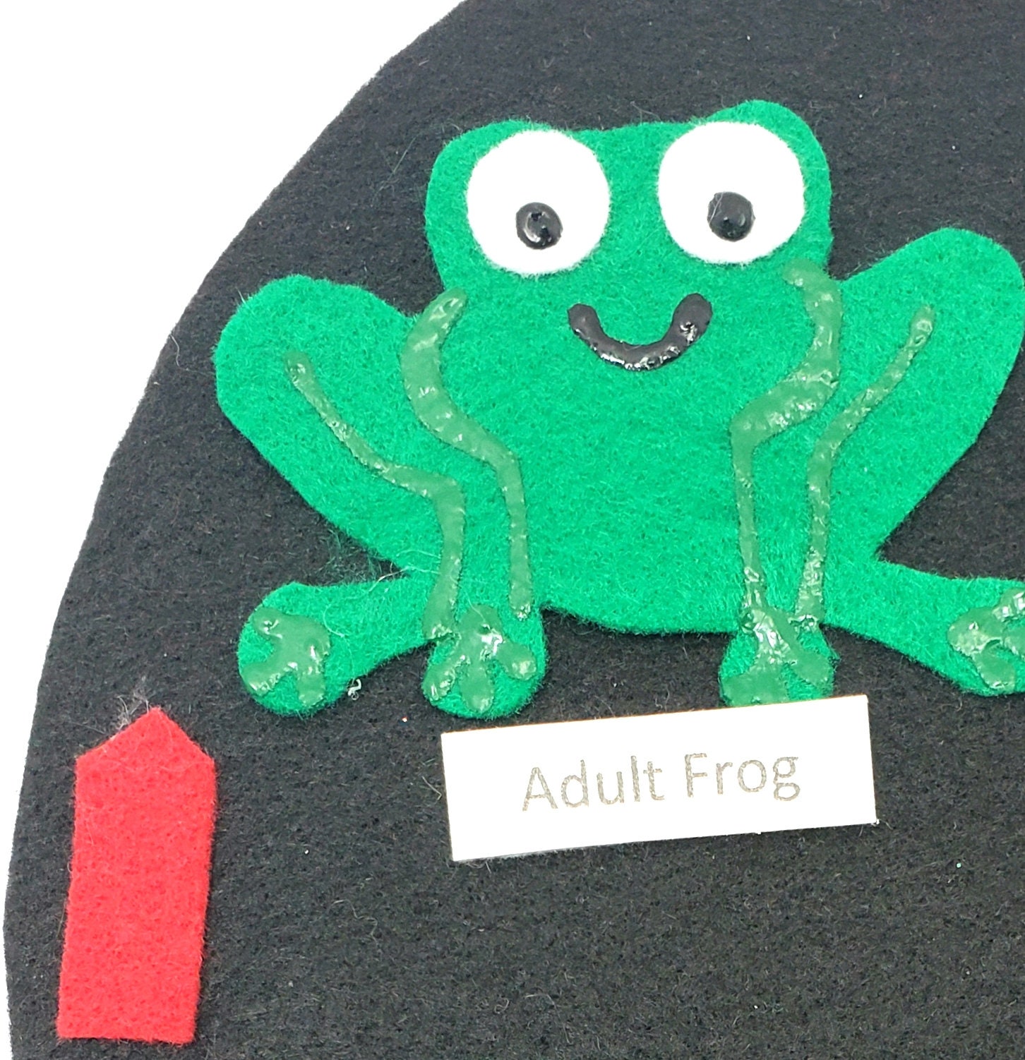 Frog Life Cycle Felt Board: Homeschool Science Set - Etsy