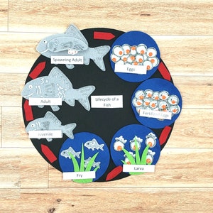 Fish Life Cycle, Fish Felt Set , Life Cycle Flannel Set, Fish Life ...