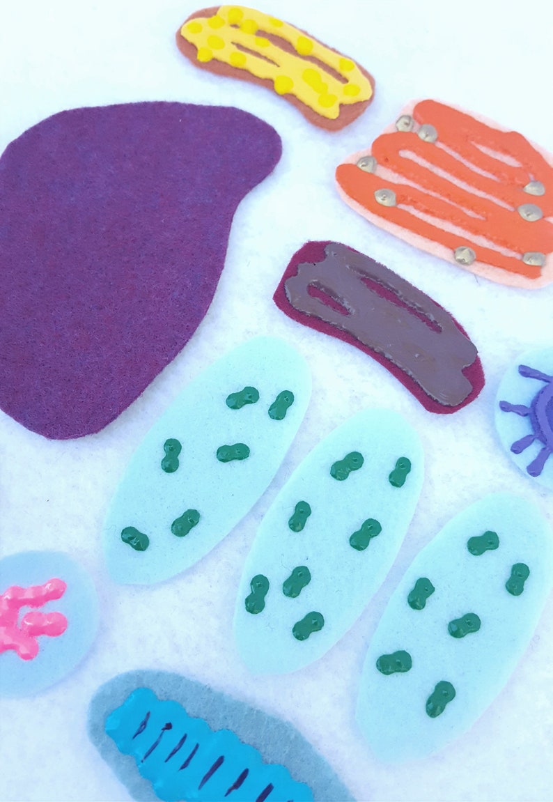 Plant Cell Felt Model Set: Montessori Homeschool Science - Etsy UK