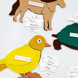 Felt Animal Puzzles | Montessori Animal Anatomy Felt Set - Etsy
