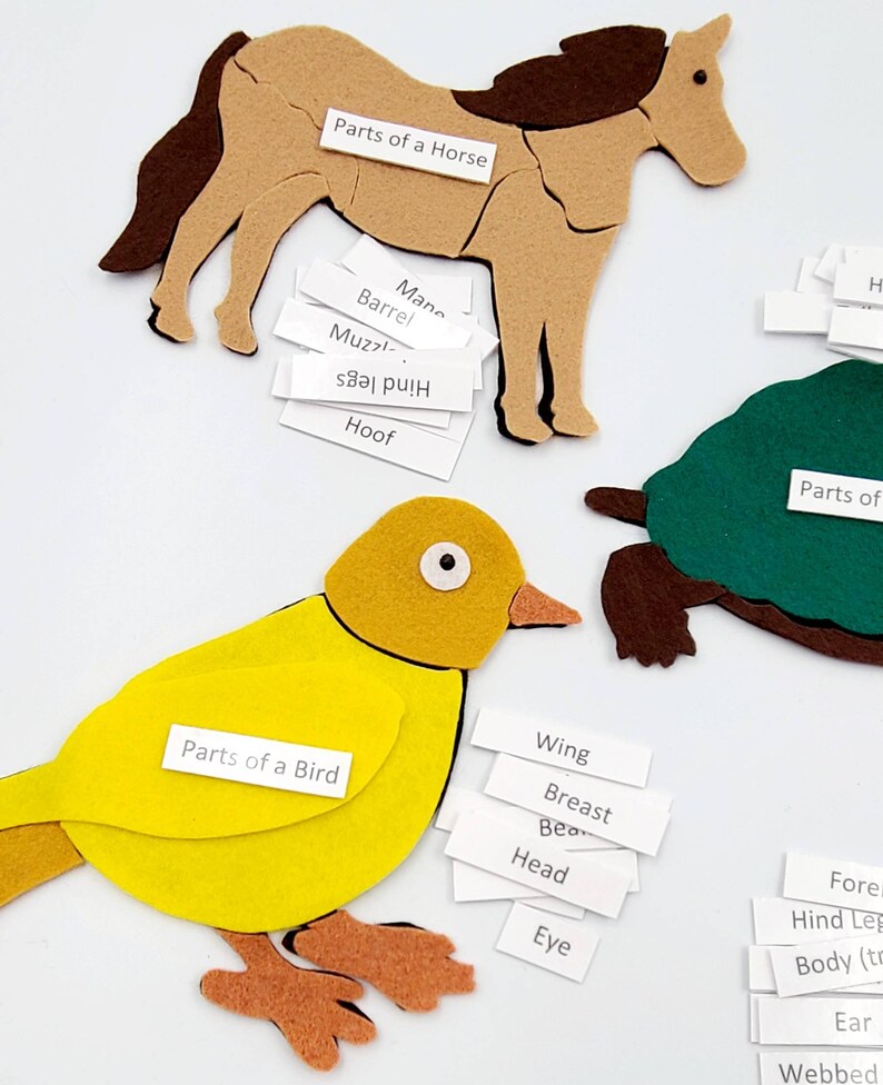 Felt Animal Puzzles Montessori Animal Anatomy Felt Set | Etsy