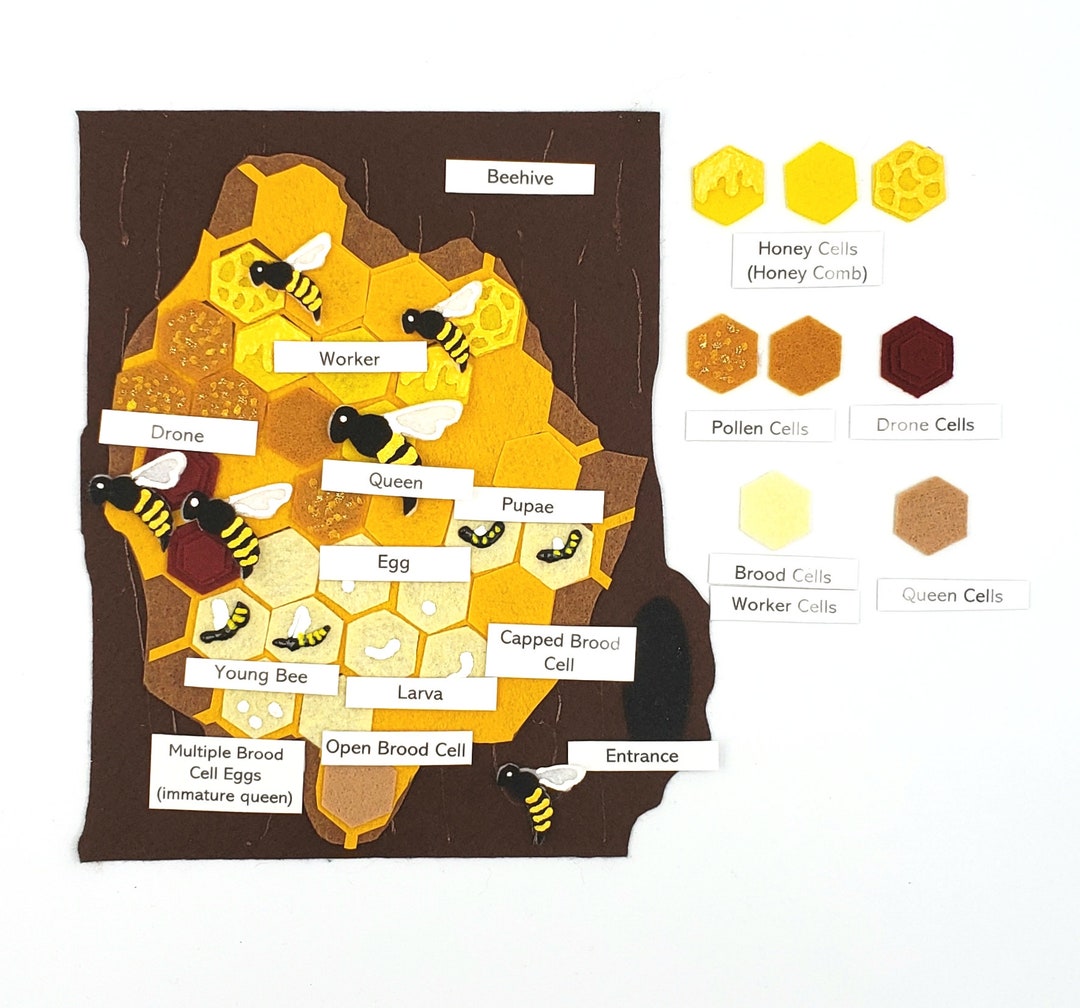 Beehive | Felt Board Set | Beehive Felt Board | Honey Bee Felt Set ...