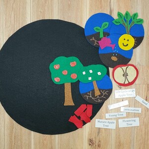 Apple Tree Life Cycle | Plant Life Cycle | Fruit Tree Felt Board | Felt ...