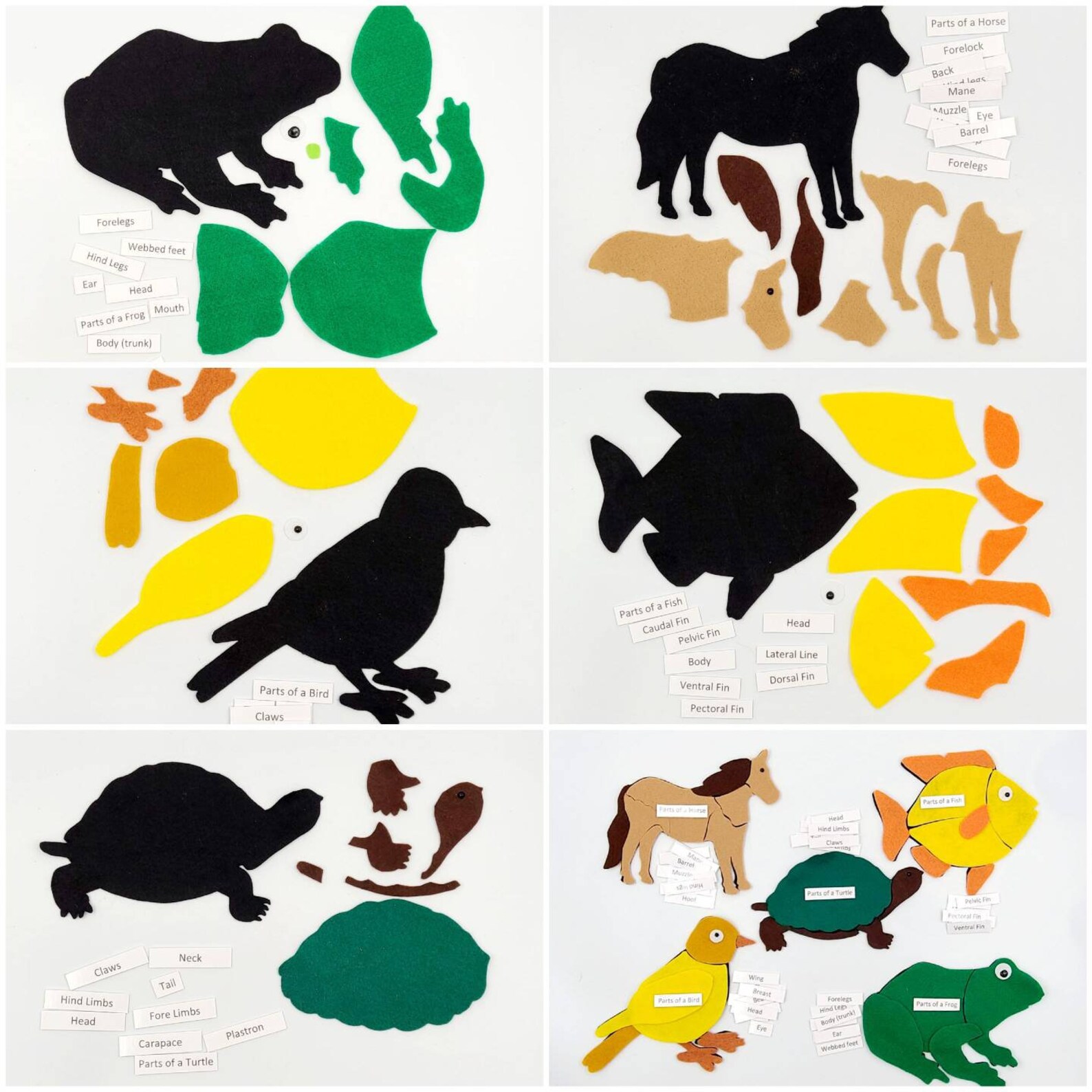 Felt Animal Puzzles Montessori Animal Anatomy Felt Set - Etsy