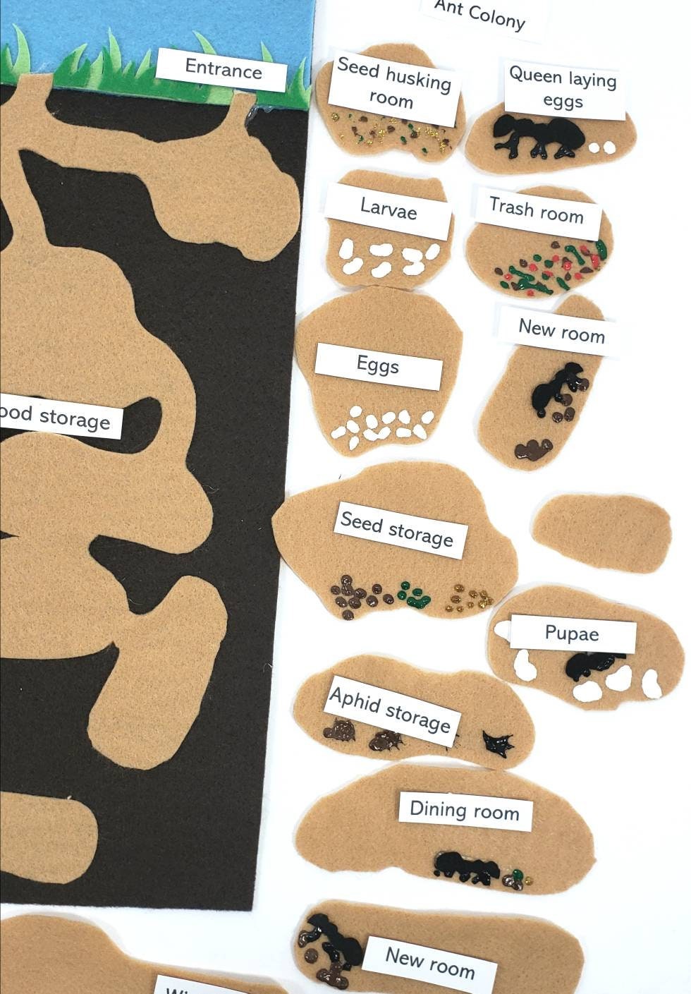 Ant Colony Felt Board Set Ant Habitat How Do Ants Live - Etsy Canada