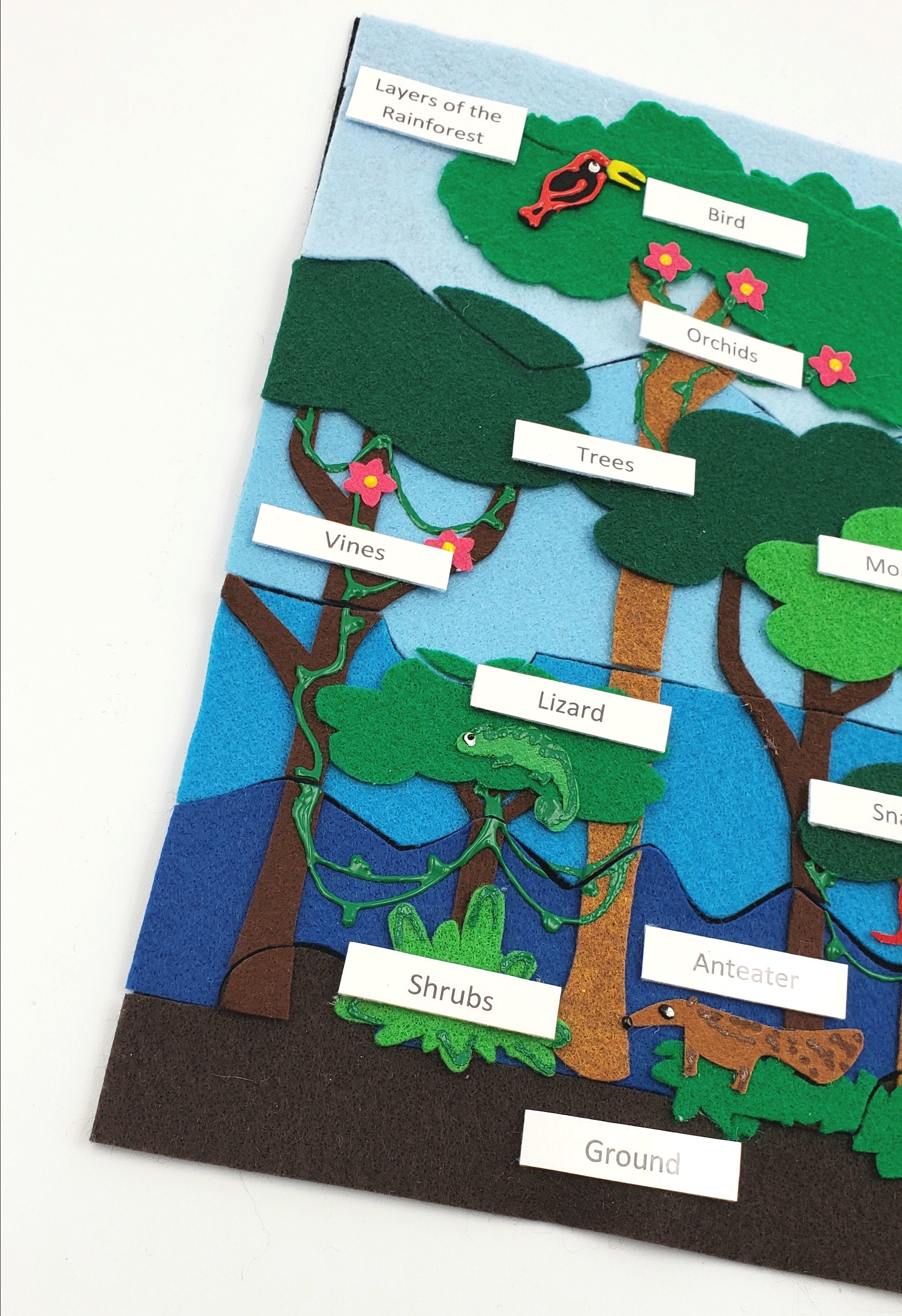 Rainforest Layers Felt Board: Homeschool Science Flannel Story - Etsy