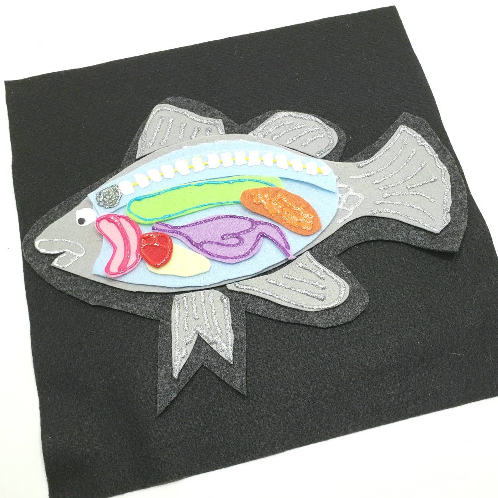 Fish Anatomy Felt Board Parts of a Fish Felt Set - Etsy