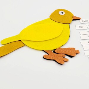 Felt Bird Puzzle | Montessori Bird Anatomy Felt Set - Etsy