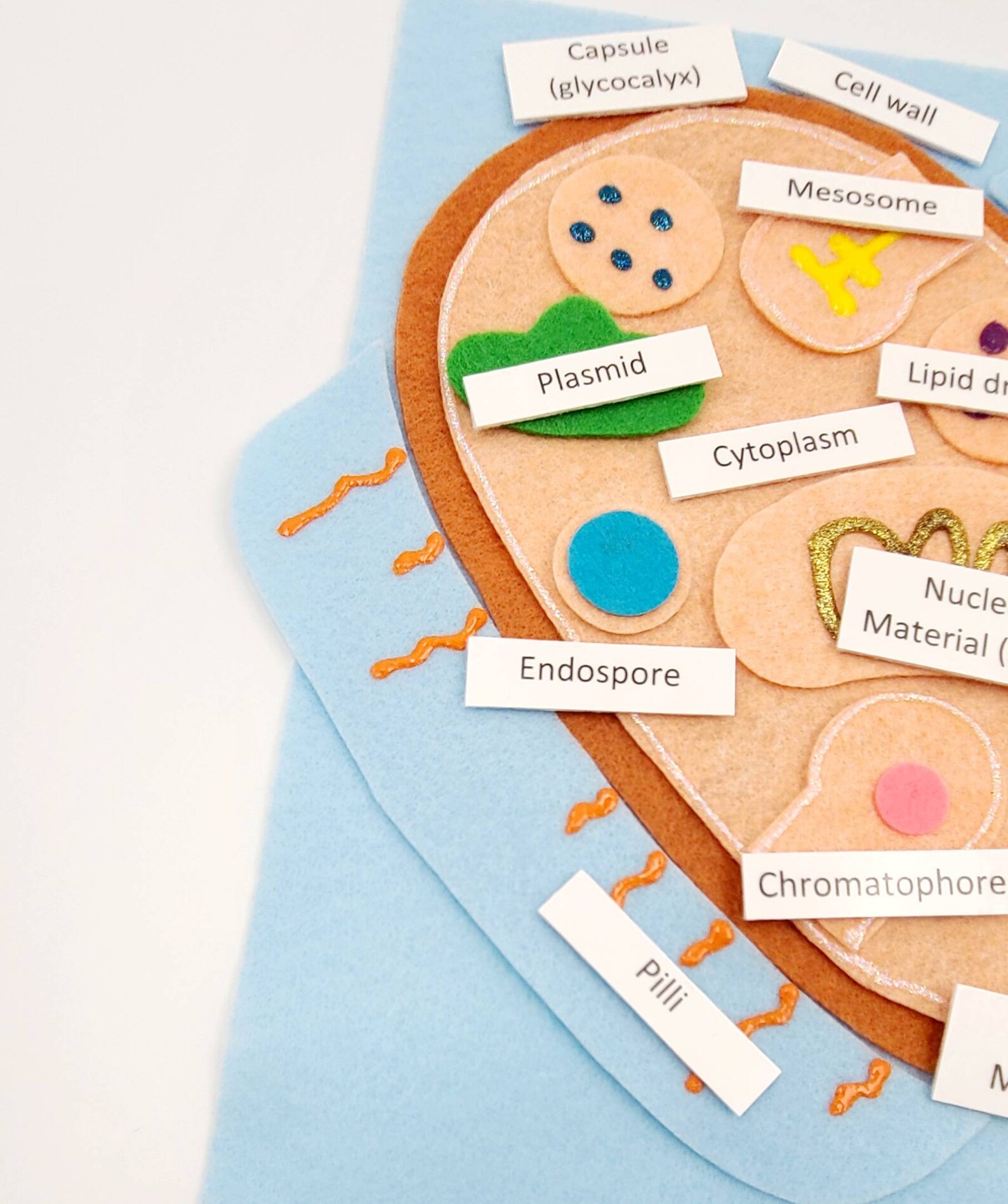 Bacterium Felt Board Bacteria Felt Set Bacteria Montessori - Etsy