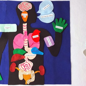 2 in 1 Felt Anatomy Set With Organs, Body Emotions and Sensations ...