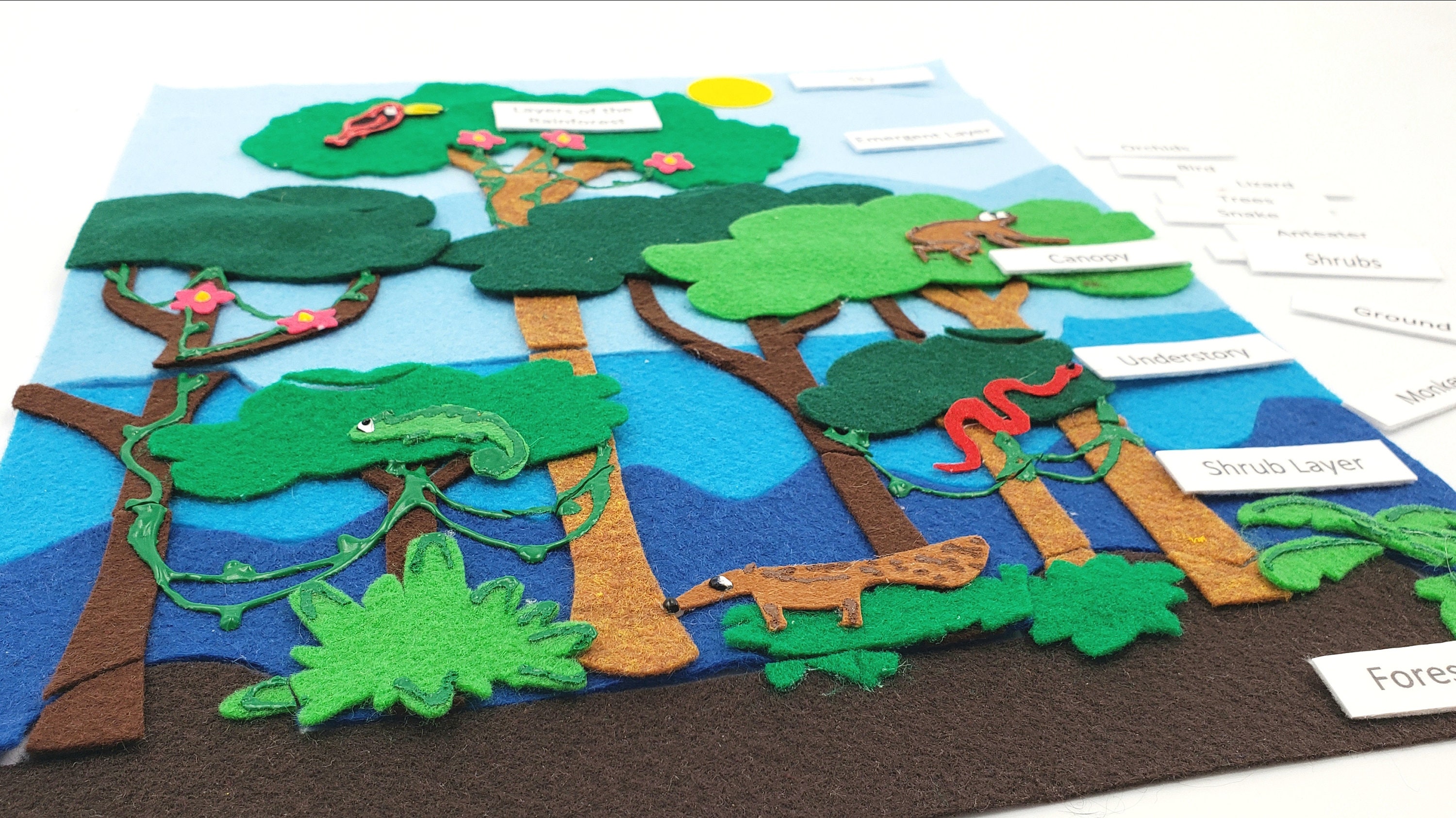 Rainforest Layers Felt Board: Homeschool Science Flannel Story - Etsy