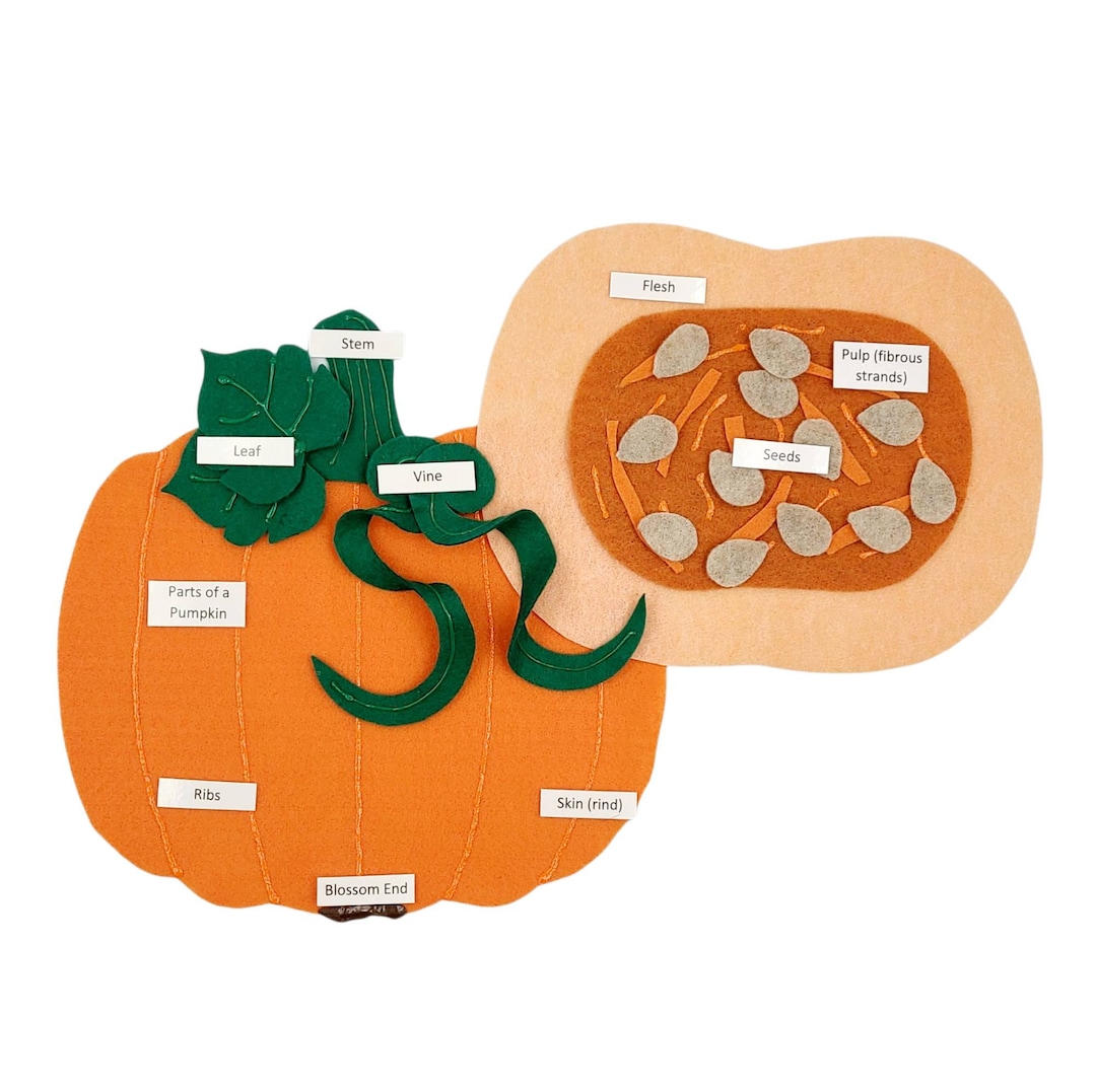Pumpkin Anatomy Felt Board, Pumpkin Parts Felt Set, Pumpkin Montessori ...