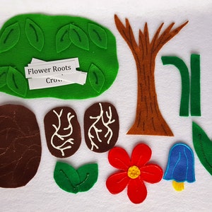 Parts of a Plant Felt Board Set With Laminated Labels. Daycare ECE ...