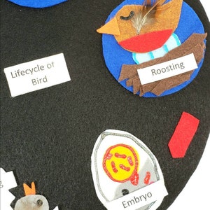 Robin Life Cycle, Robin Felt Set , Life Cycle Flannel Set, Bird Life ...