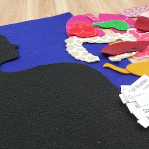 Felt Anatomy Set: Human Body Organs, Montessori Homeschool - Etsy