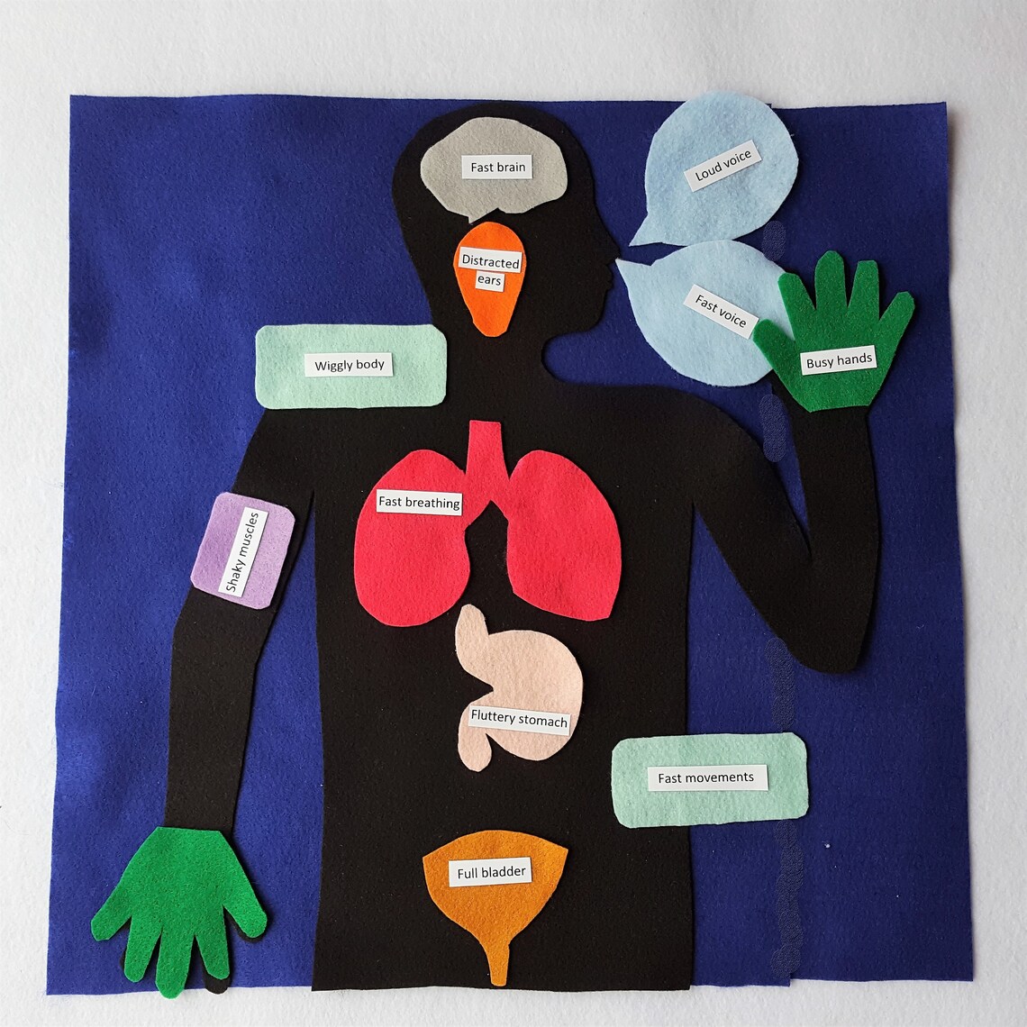 2 in 1 Felt Anatomy Set With Organs Body Emotions and - Etsy