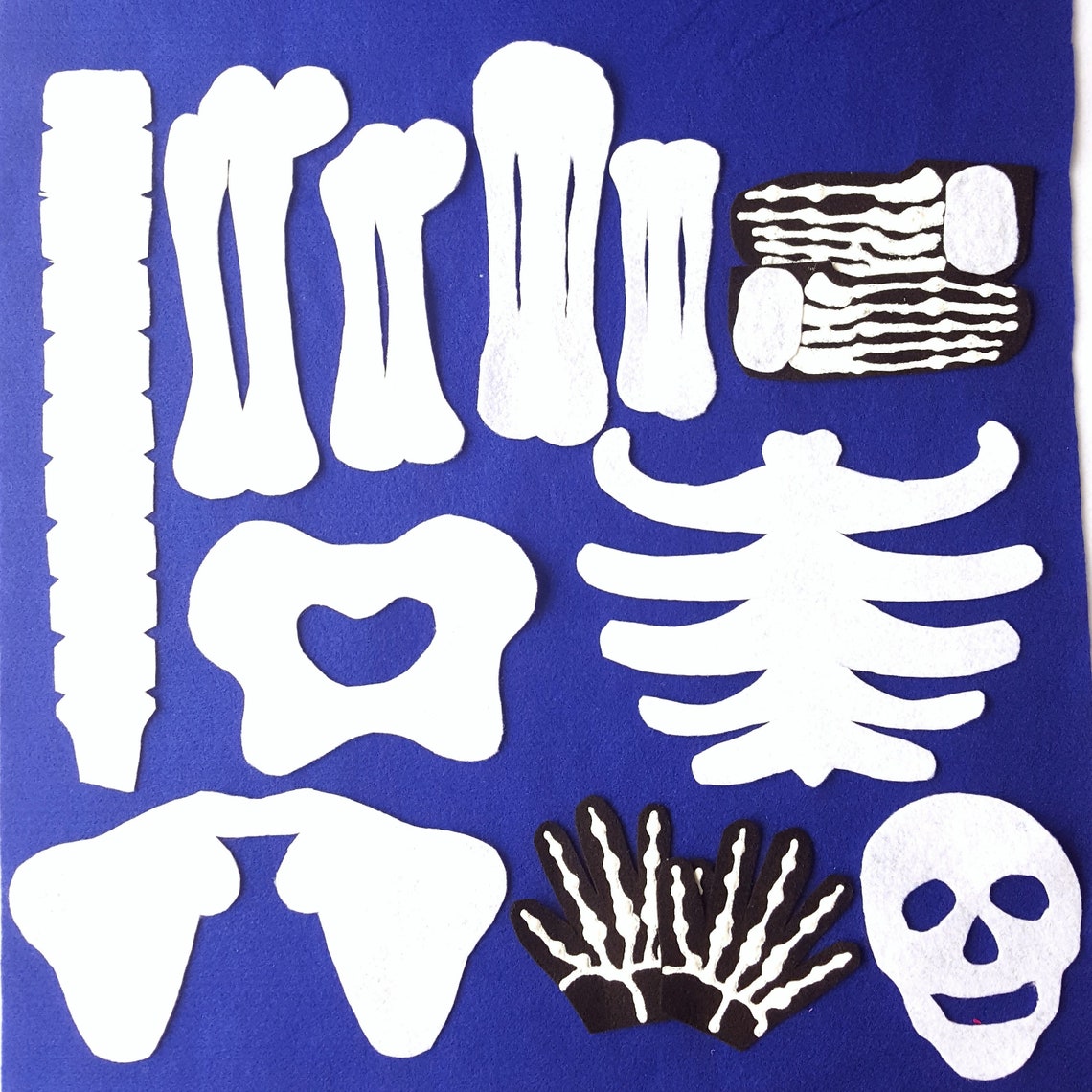 Felt Bones Organs Anatomy Set Felt Body Set Felt Organs - Etsy