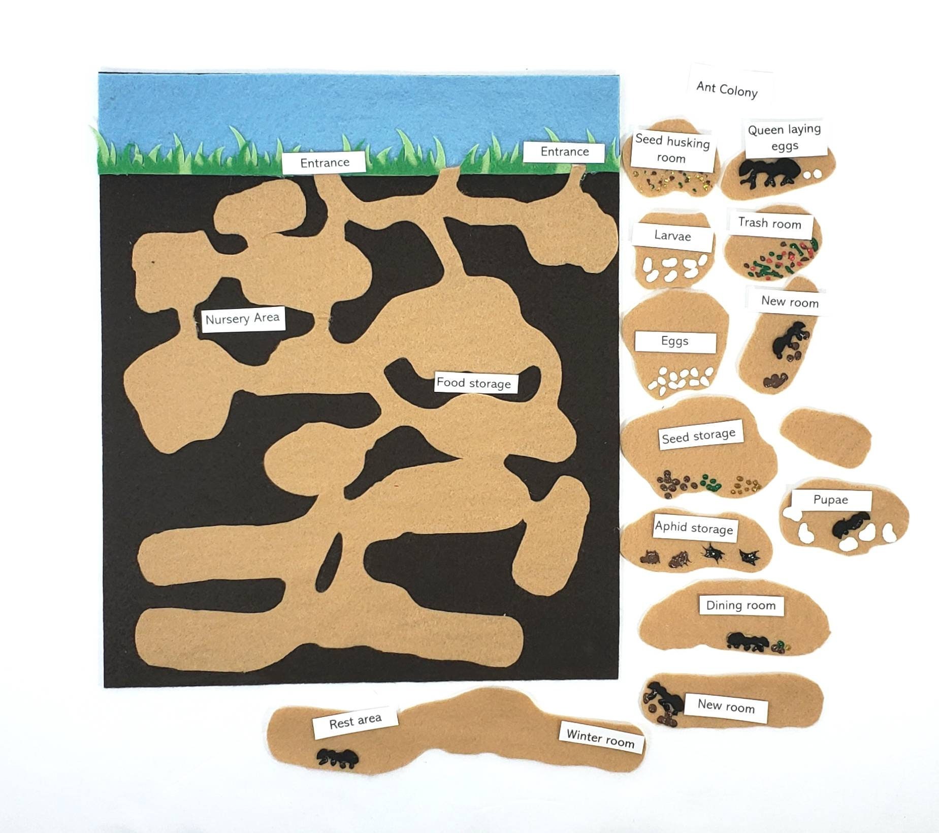 Ant Hill Coloring Page