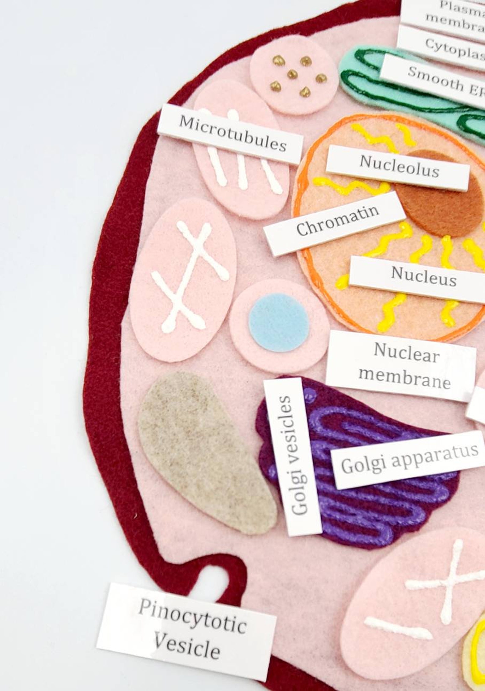 Animal cell felt board Animal cell felt Montessori Felt | Etsy