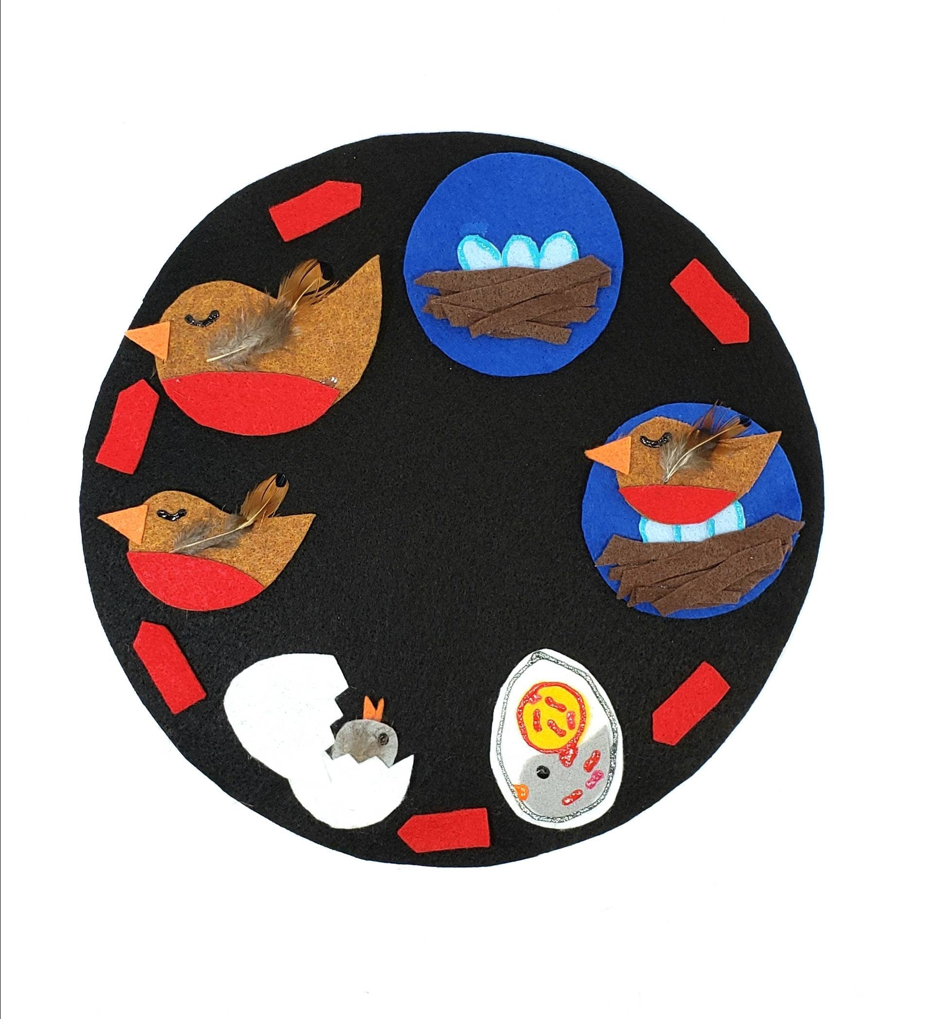 Toys & Games Learning & School Science Felt Board Life Cycle Flannel ...