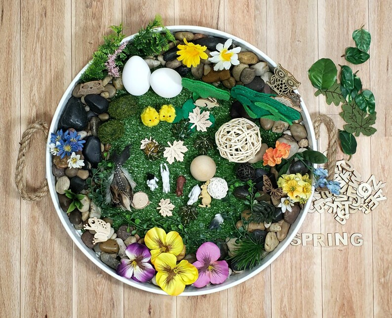 Spring Sensory Bin Seasons Bin Spring Winter Thaw Bird | Etsy