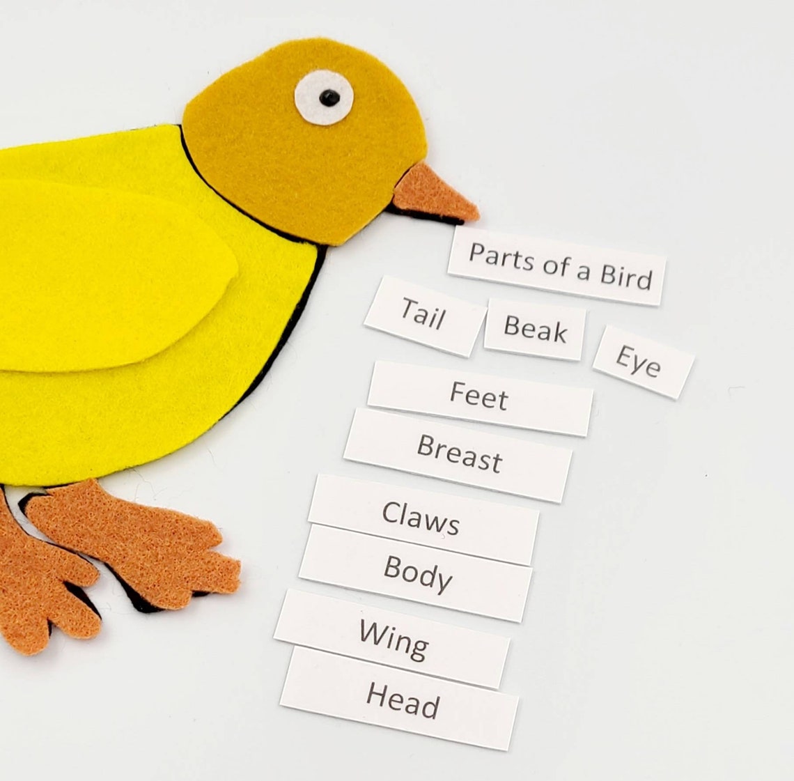 Felt Bird Puzzle Montessori Bird Anatomy Felt Set - Etsy