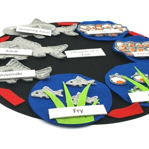 Fish Life Cycle, Fish Felt Set , Life Cycle Flannel Set, Fish Life ...
