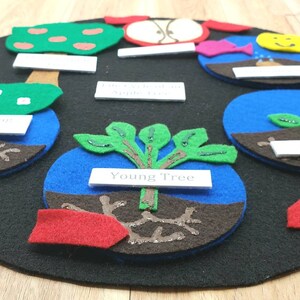 Apple Tree Life Cycle Series Felt Board Set With Laminated Labels ...