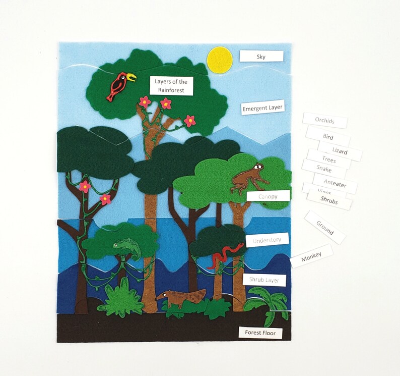 Rainforest Layers Felt Board: Homeschool Science Flannel Story - Etsy