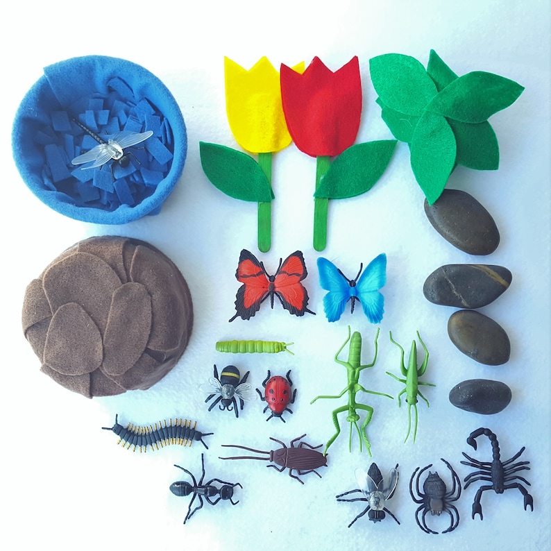 Insect Sensory Bin Bug Sensory Bin Insect Habitat - Etsy