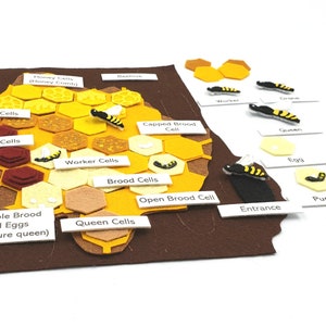Beehive | Felt Board Set | Beehive Felt Board | Honey Bee Felt Set ...