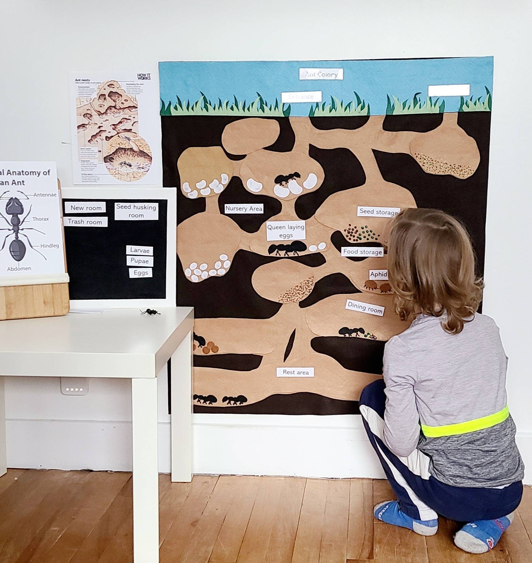 Learning & School Ant Colony Felt Board Set Wall sized felt Montessori ...