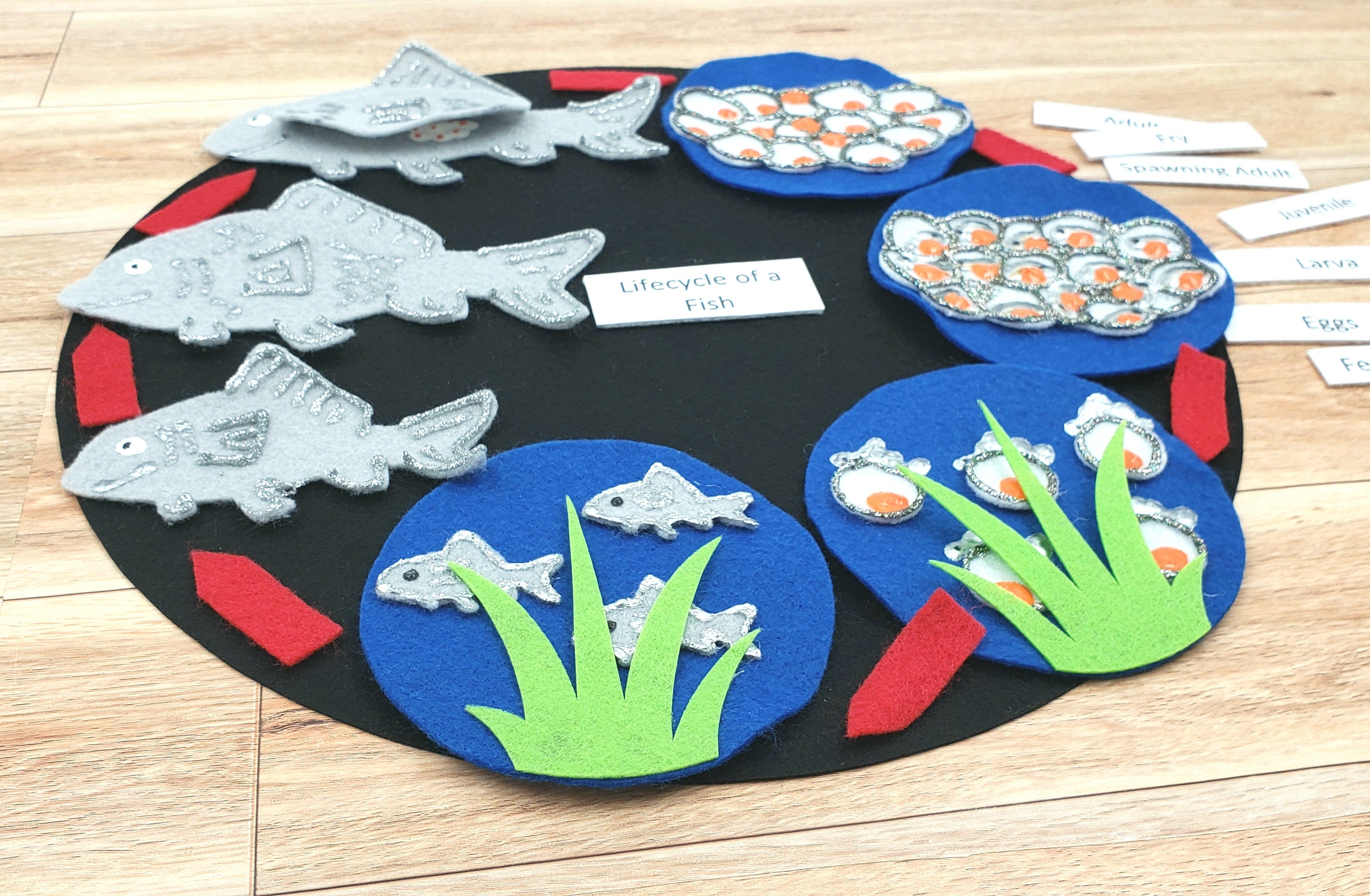 Fish Life Cycle Fish Felt Set Life Cycle Flannel Set Fish - Etsy UK
