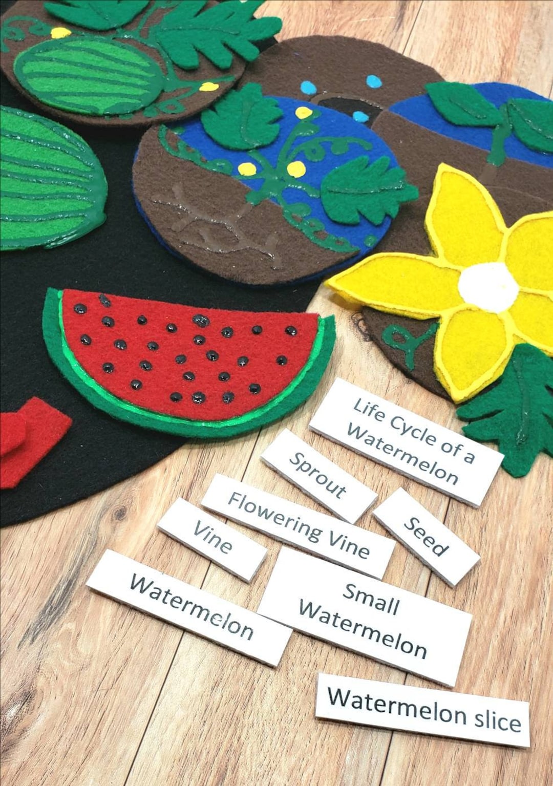 Watermelon Life Cycle Watermelon Felt Set Life Cycle - Etsy