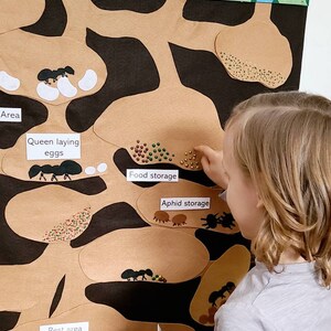Ant Colony Felt Board Set | Ant Habitat | Wall Sized Felt | Homeschool ...