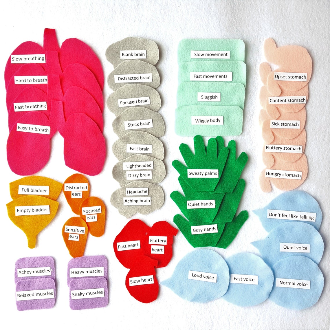 2 in 1 Felt Anatomy Set With Organs Body Emotions and - Etsy