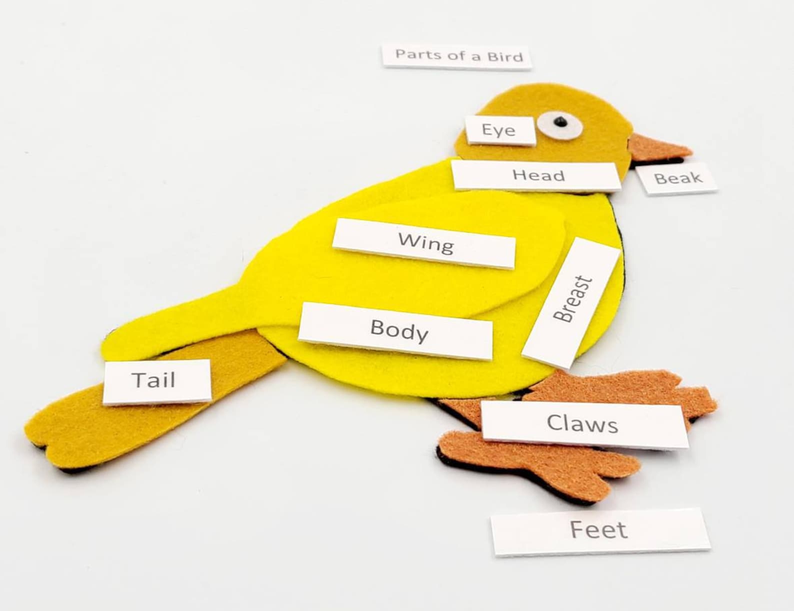 Felt Bird Puzzle Montessori Bird Anatomy Felt Set - Etsy