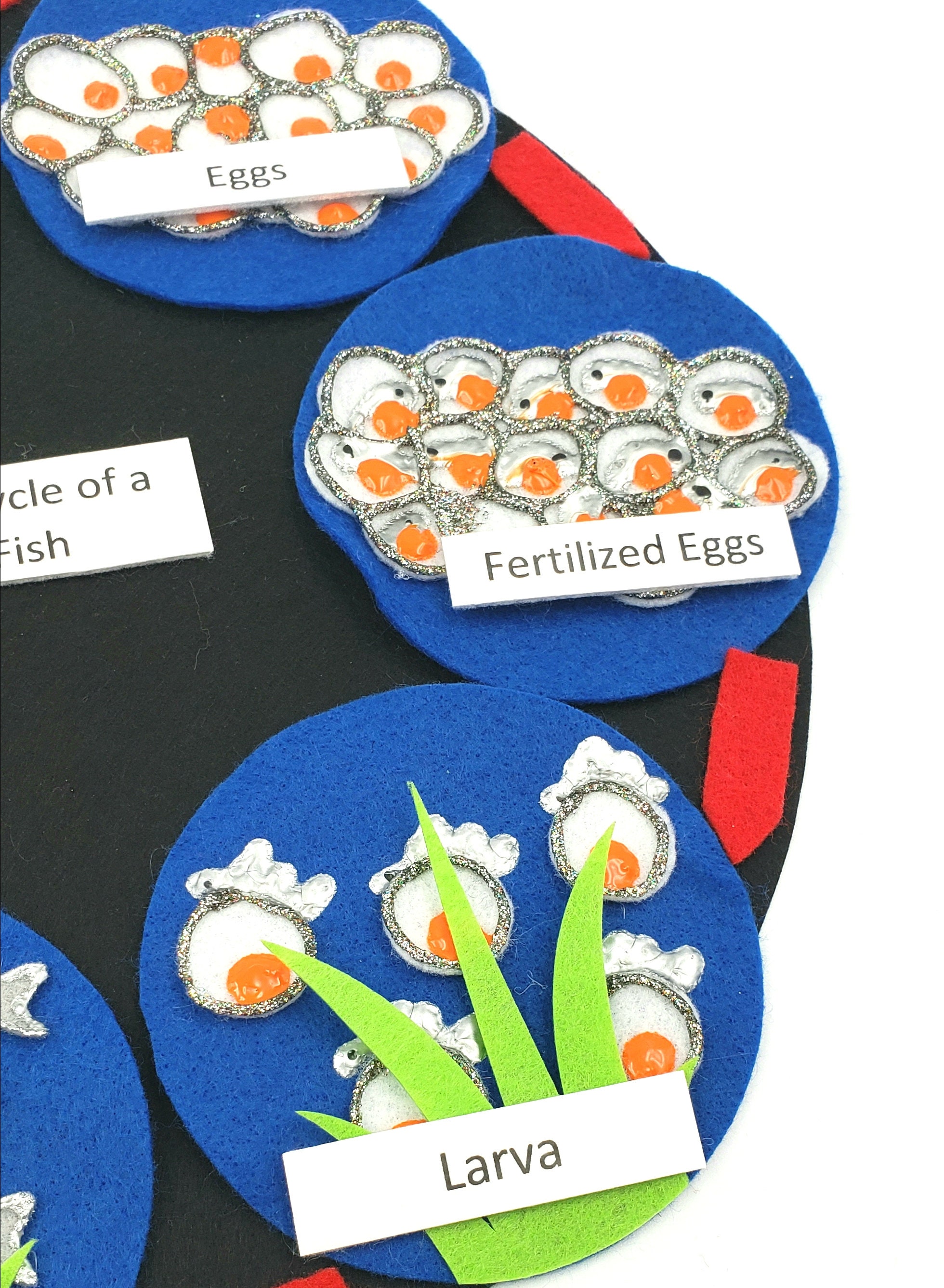 Fish Life Cycle Fish Felt Set Life Cycle Flannel Set Fish - Etsy Canada