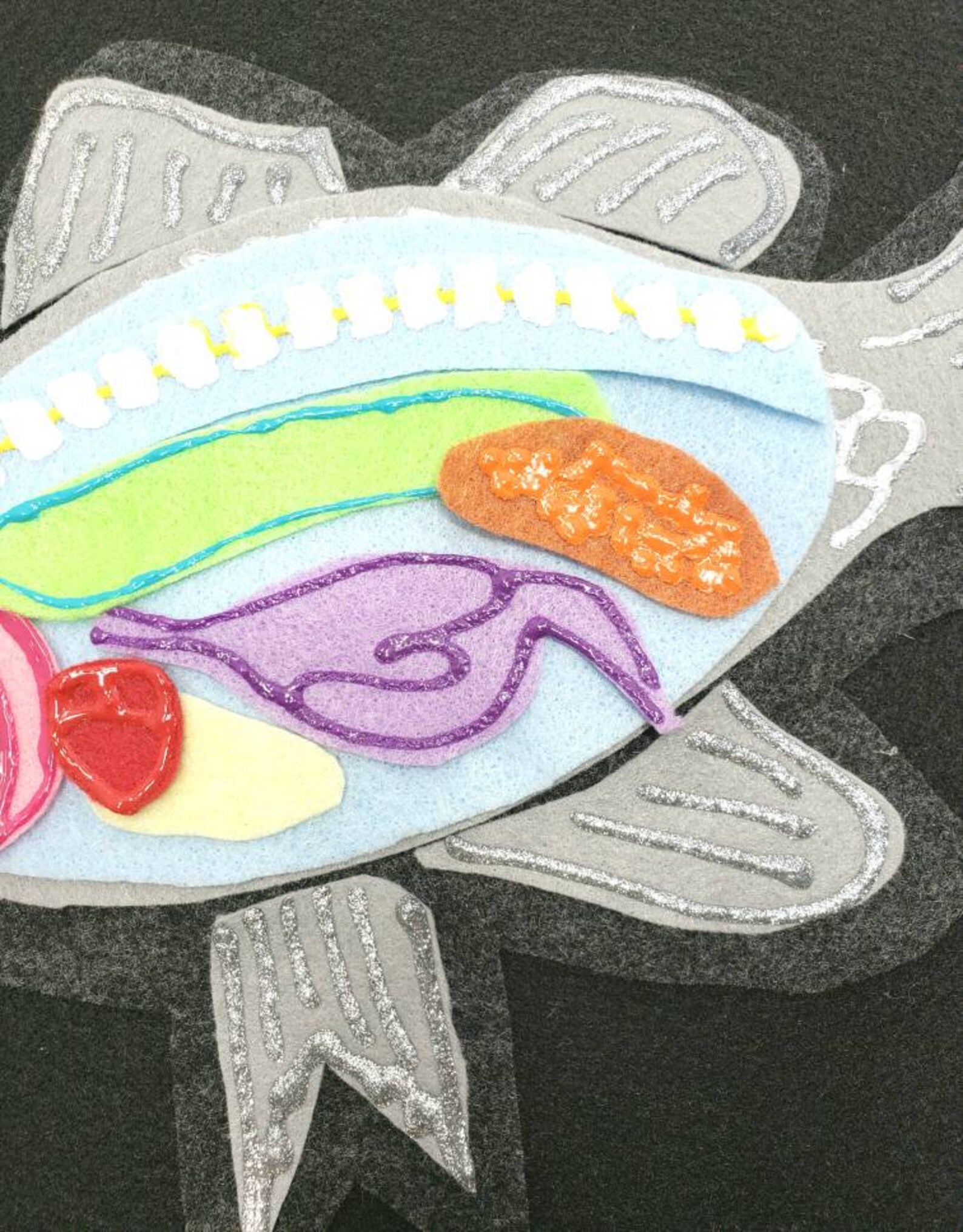 Fish Anatomy Felt Board Parts of a Fish Felt Set - Etsy
