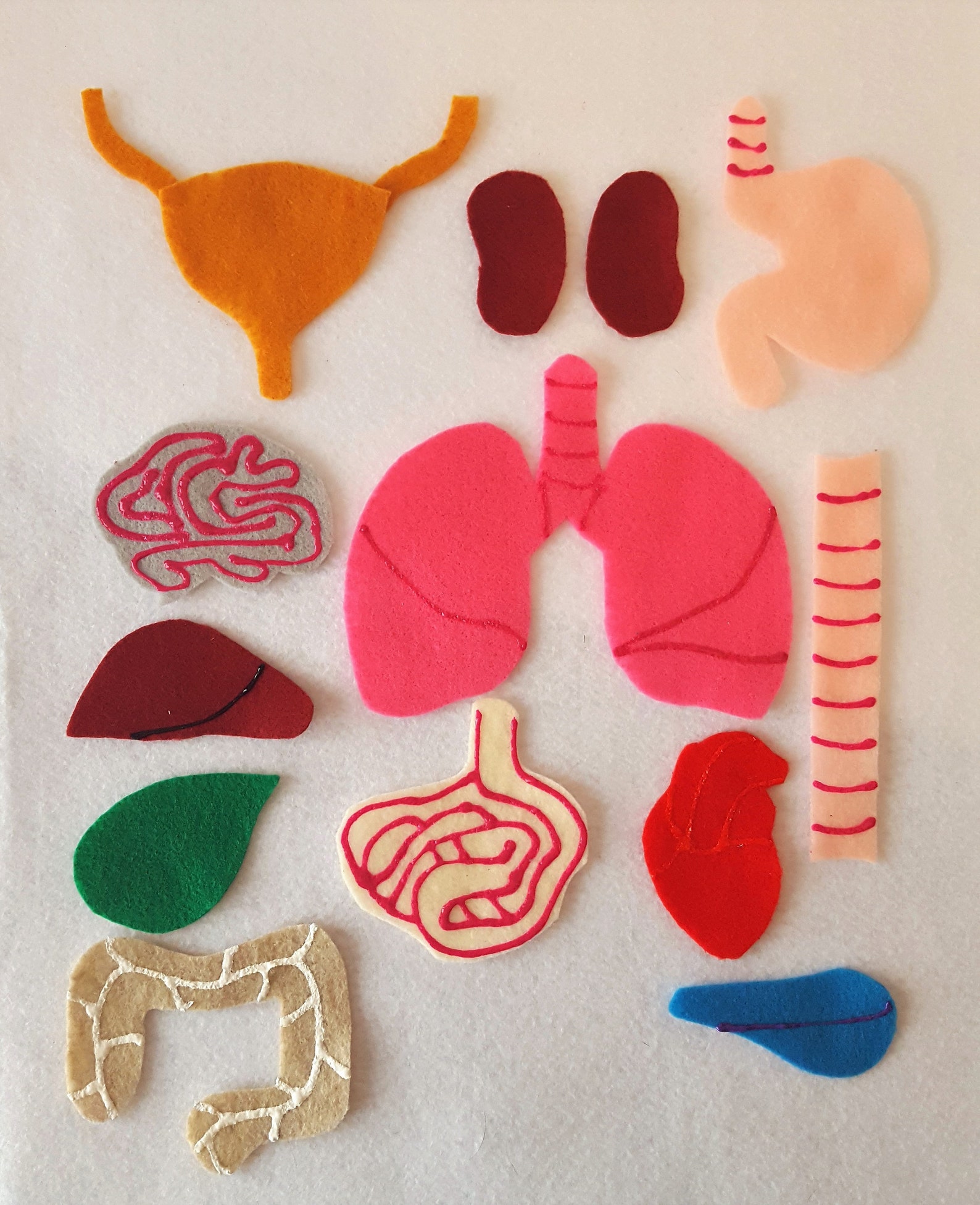 Felt Bones Organs Anatomy Set Felt Body Set Felt Organs | Etsy